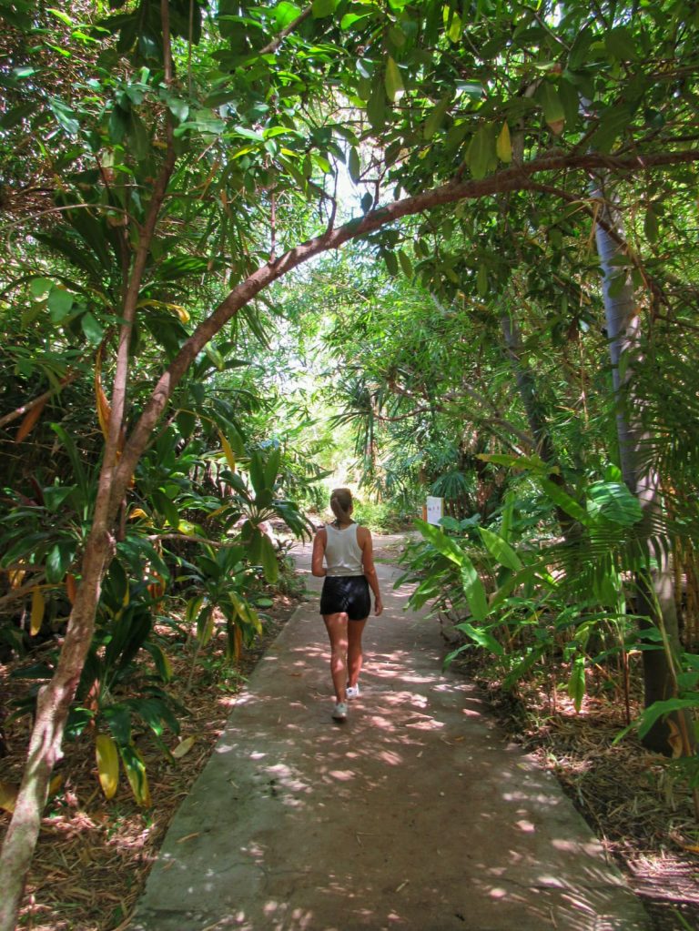 5 activités originales - Île de La Réunion