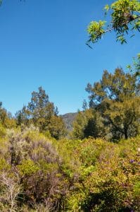 Visiter le parc national de La Réunion | Blog voyage