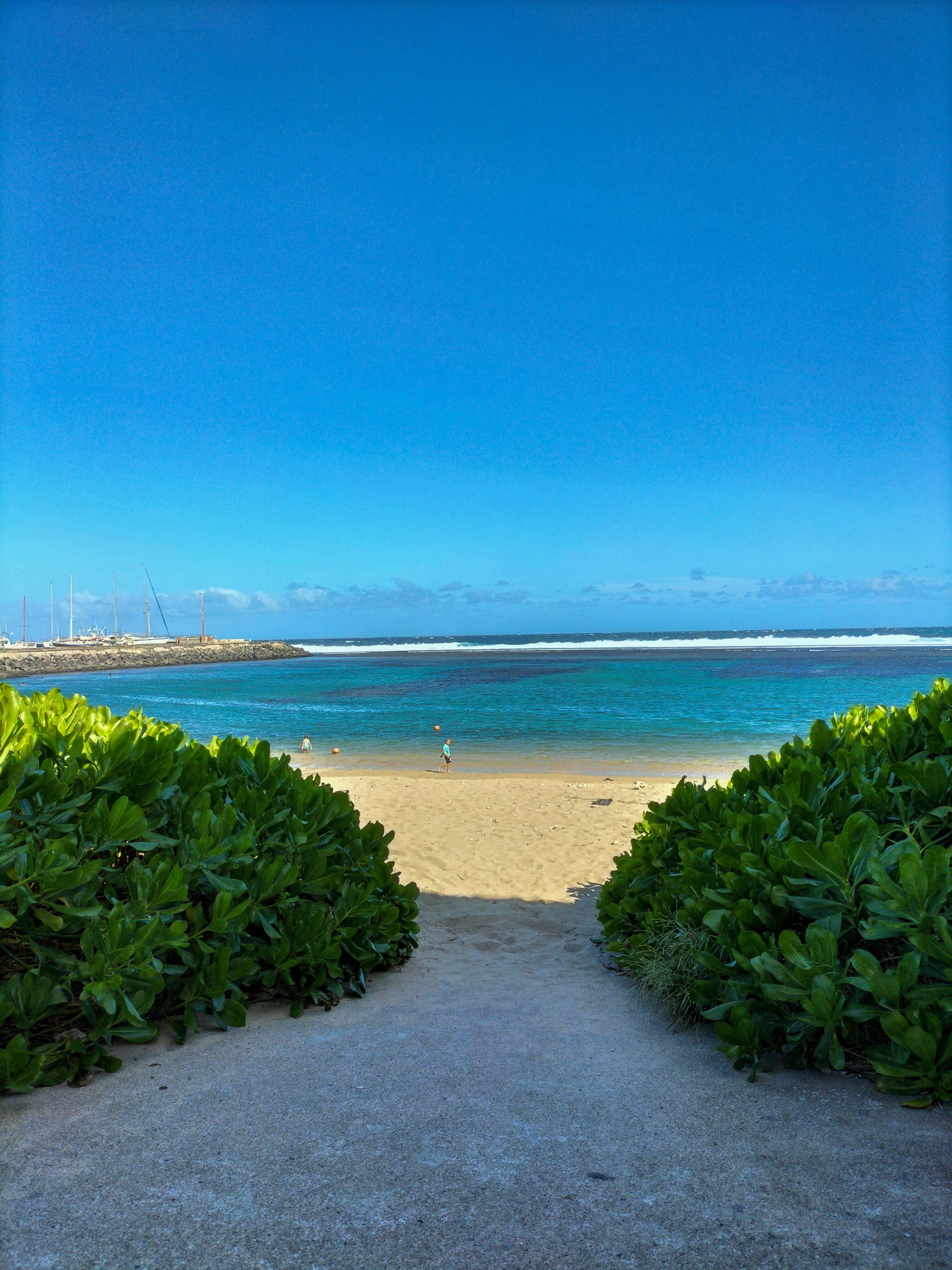 Île de La Réunion : quoi faire à Saint-Pierre